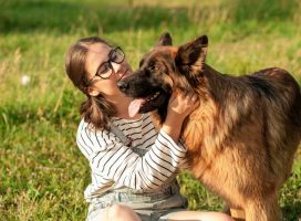 How Do I Know My German Shepherd Loves Me? (10 Signs of Affection ...