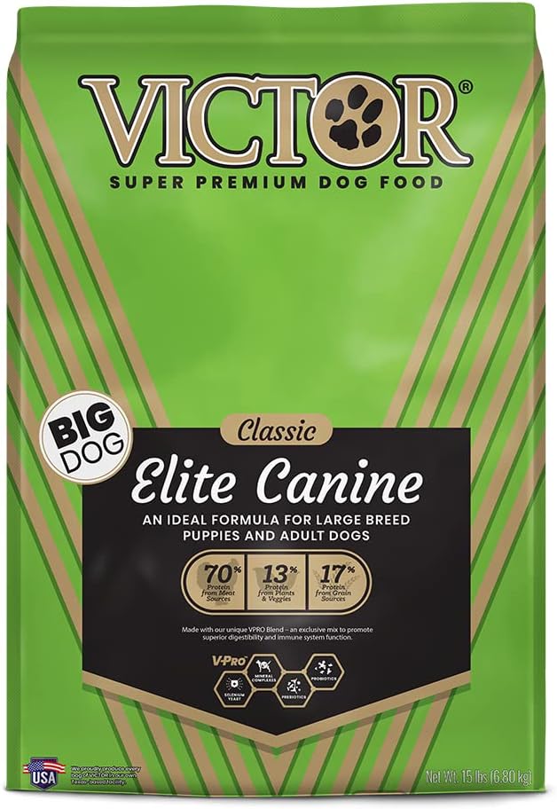 Is Victor Any Good for Large Breed Dogs? - German Shepherd 101